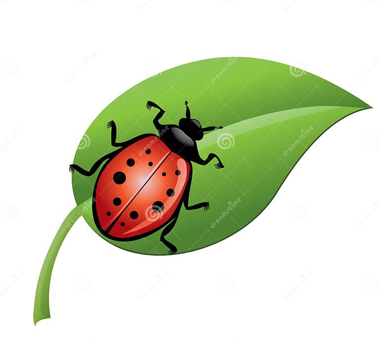 Ladybird stock vector. Illustration of love, ladybird - 12836417