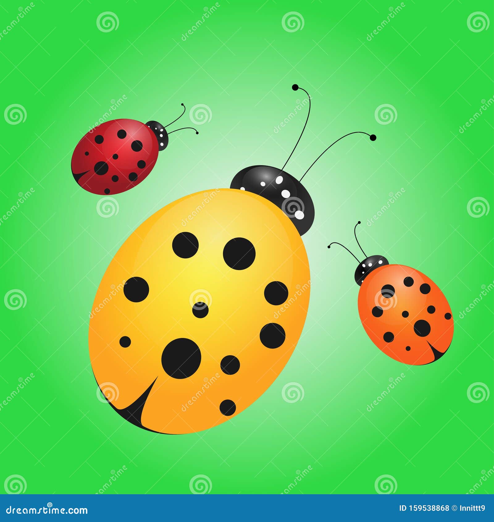Ladybird Illustration. Set Of Three Ladybirds Isolated On Chamomile And ... Ladybird Illustration. Set Of Three Ladybirds Isolated On Chamomile And ...