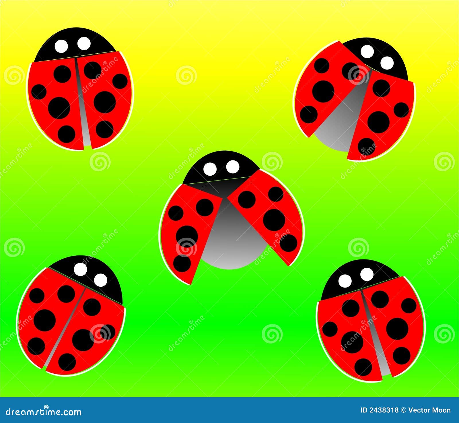 Ladybird pattern stock illustration. Illustration of flore - 2438318