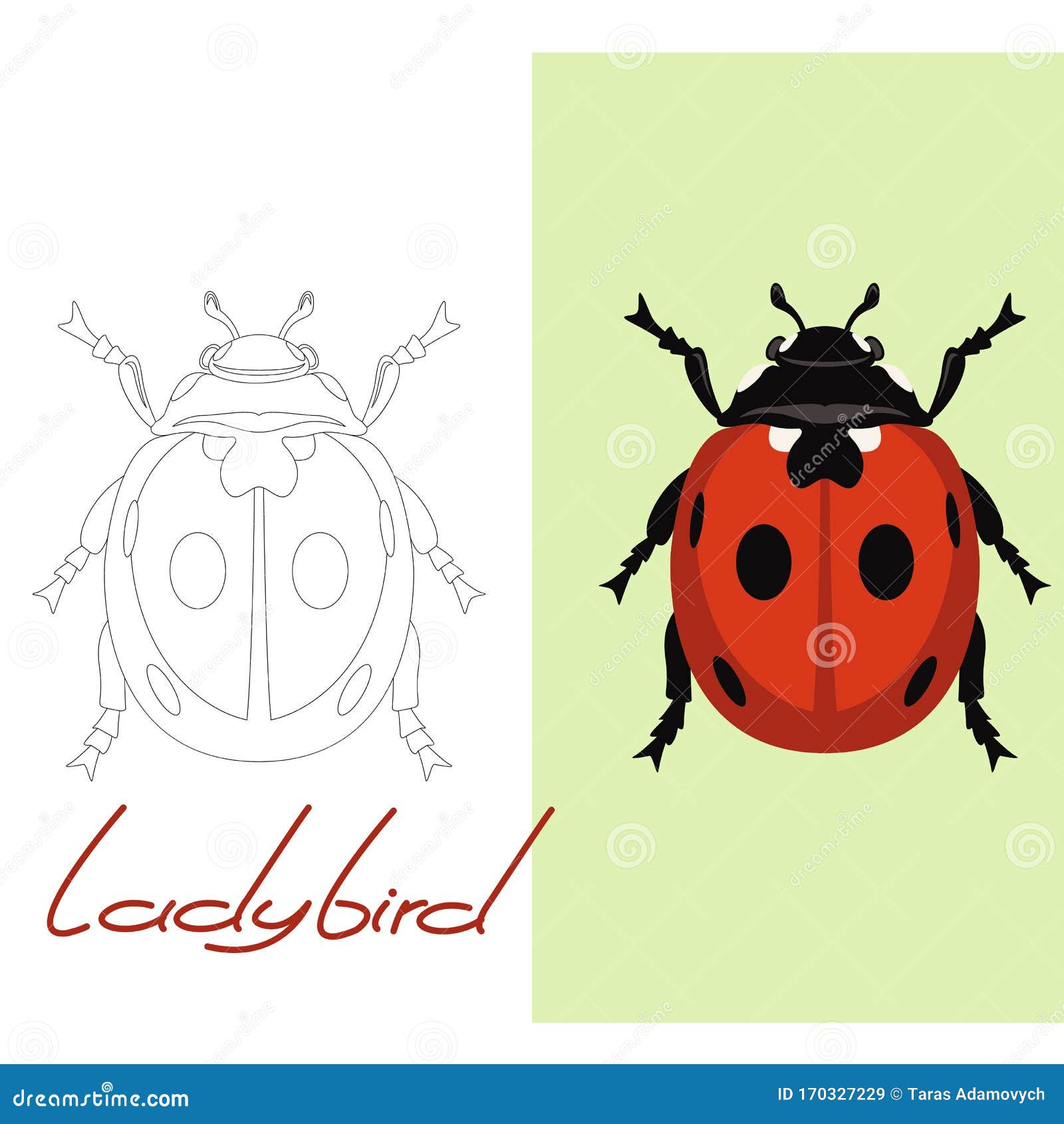 Ladybird Vector Illustration Flat Style, Lining Draw Stock Vector ...