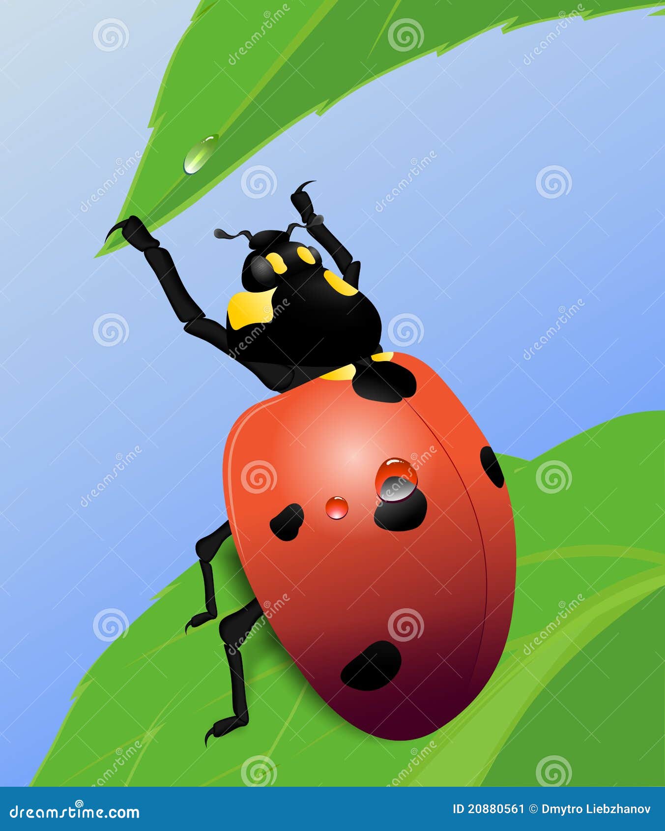 Ladybug stock vector. Illustration of orange, spring - 20880561