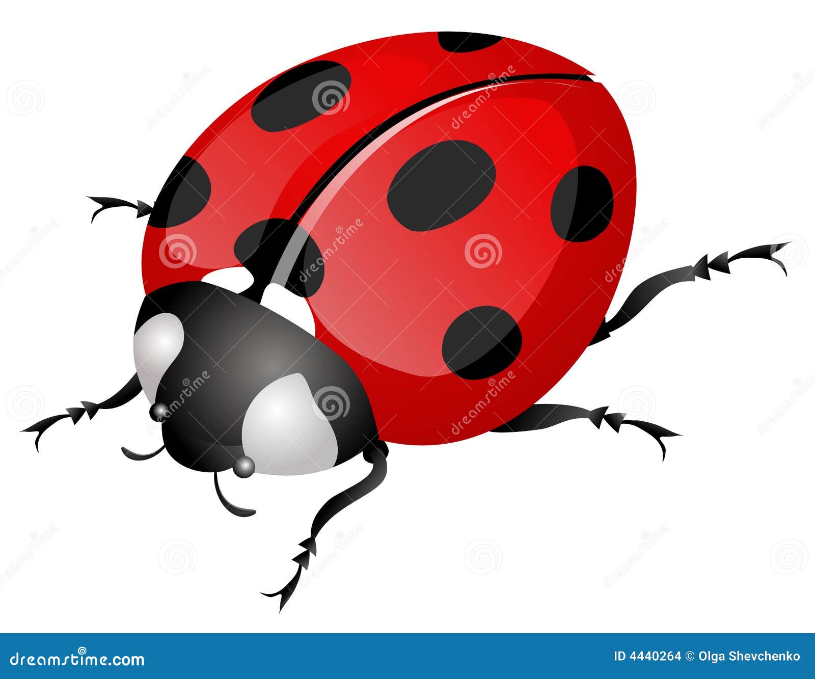 Ladybug stock vector. Illustration of isolated, cheerful - 4440264