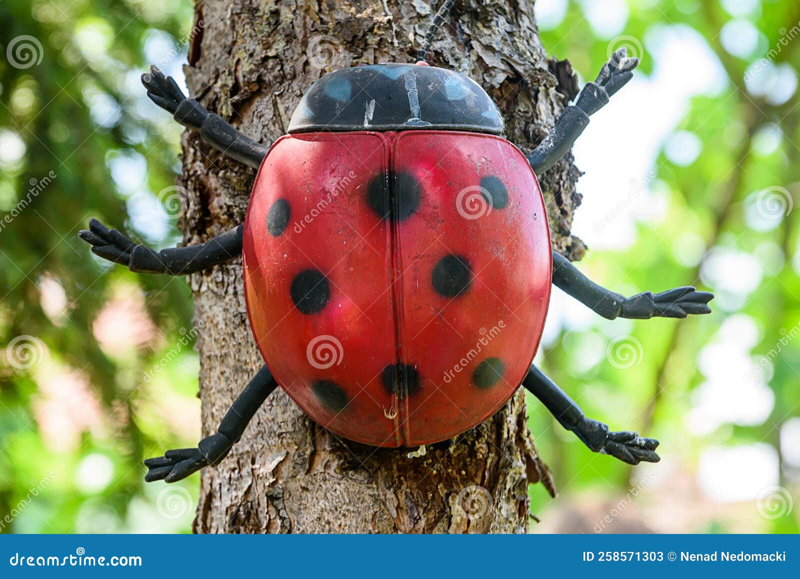 Ladybug As a Toy for the Yard Stock Image - Image of ladybug, imitation ...
