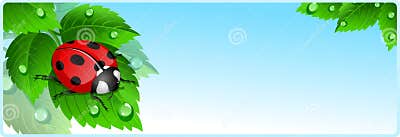 Ladybug banner stock vector. Illustration of green, graphic - 4562987