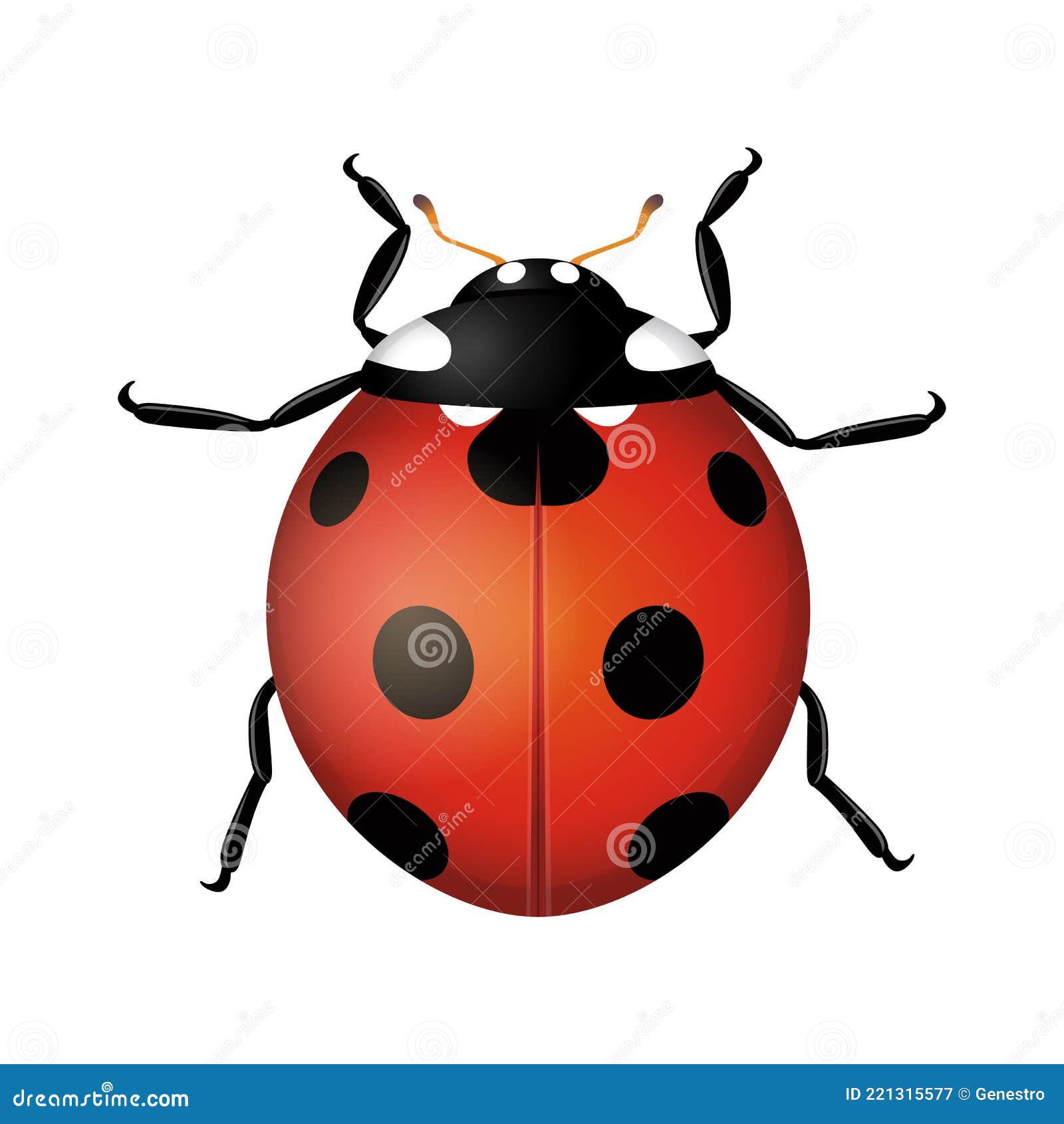 Ladybug, Red Beetle Vector Graphic. Isolated On White Background ...