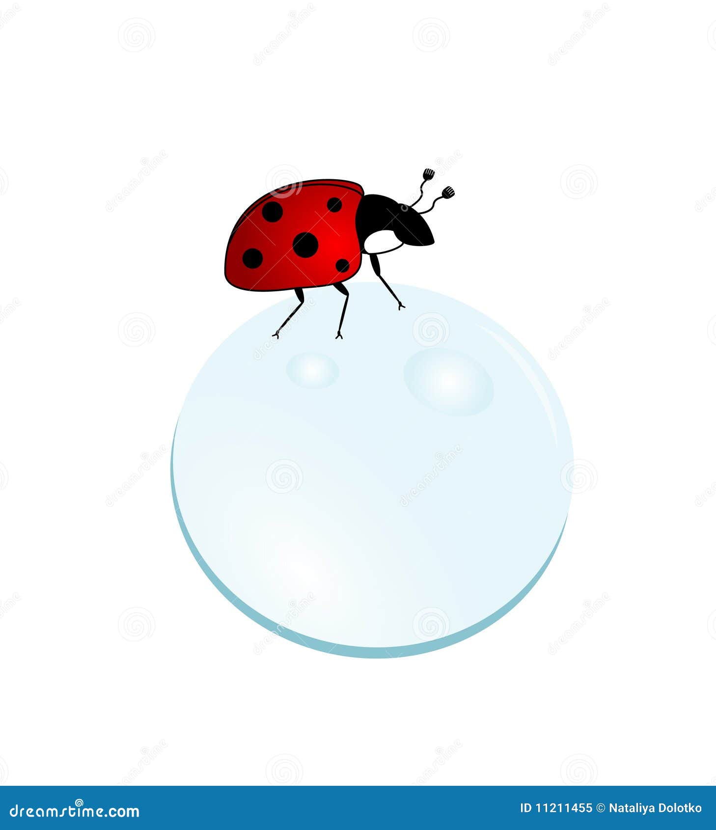 Ladybug on a bubble stock vector. Illustration of drawing - 11211455