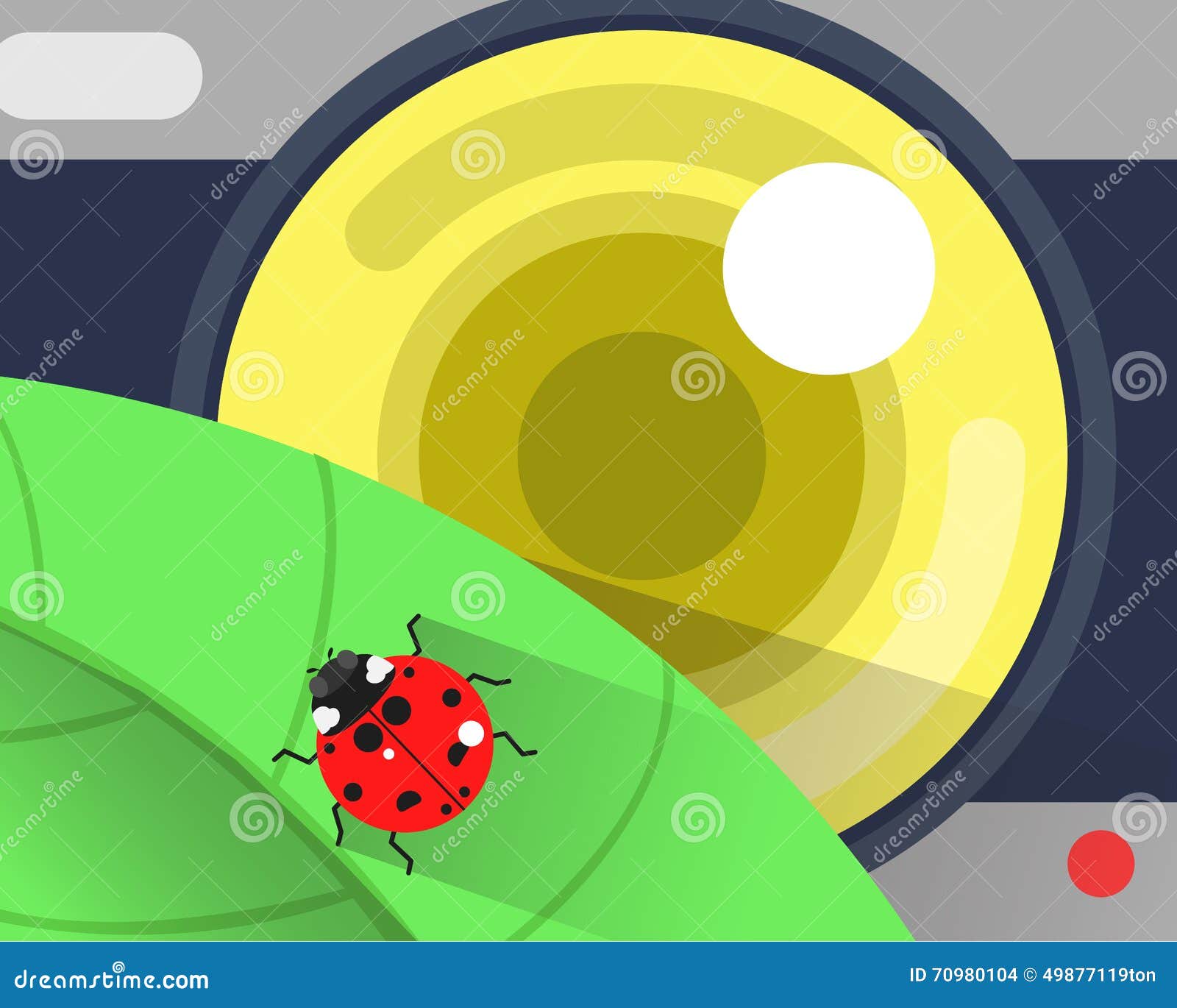 Ladybug with Camera Flat Design Stock Vector - Illustration of ...