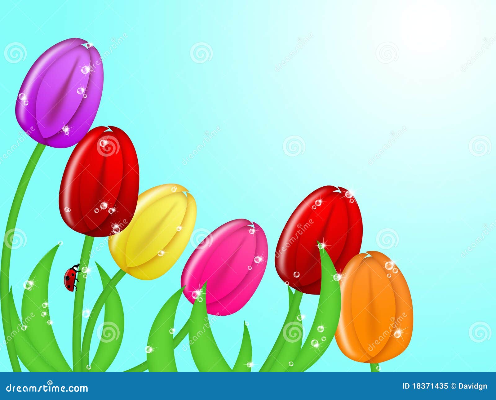 Ladybug Climbing Up Colorful Tulip Flowers Stock Illustration ...