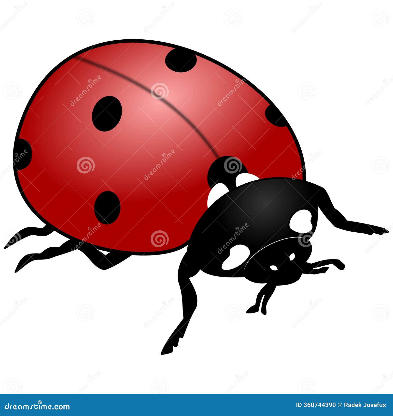 Ladybug - color drawing stock illustration. Illustration of advertising ...