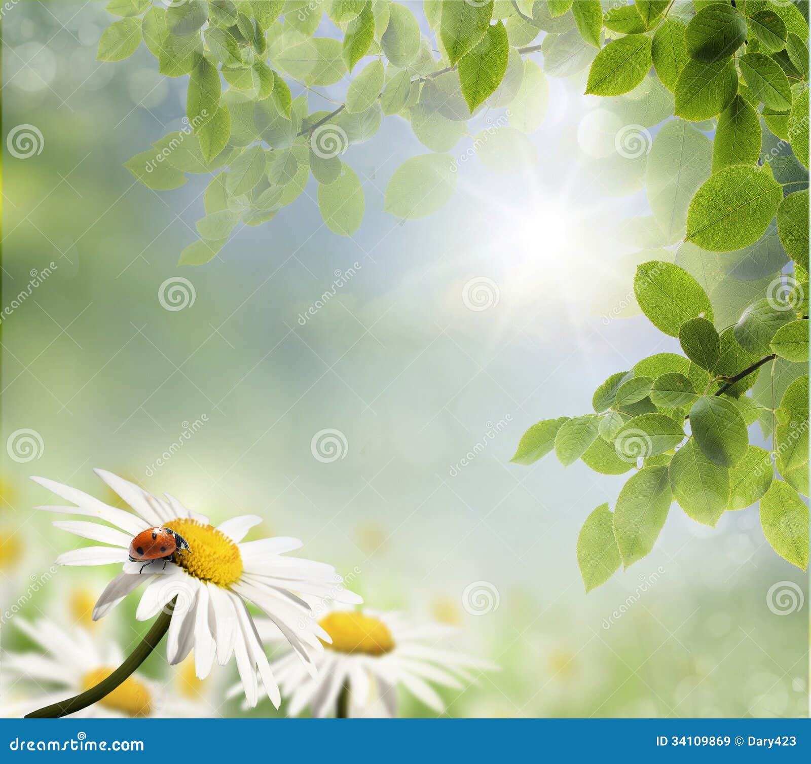 Ladybug and daisy stock image. Image of fresh, green - 34109869
