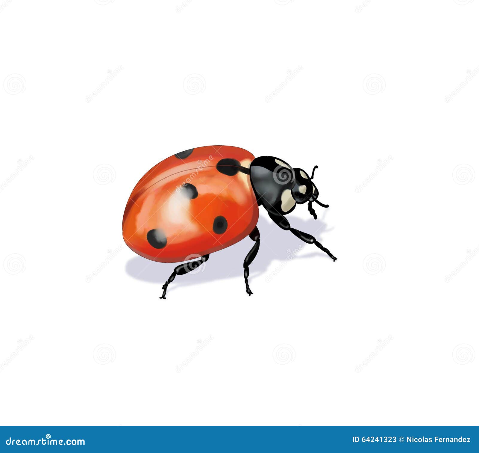 Ladybug stock illustration. Illustration of macro, ladybird - 64241323