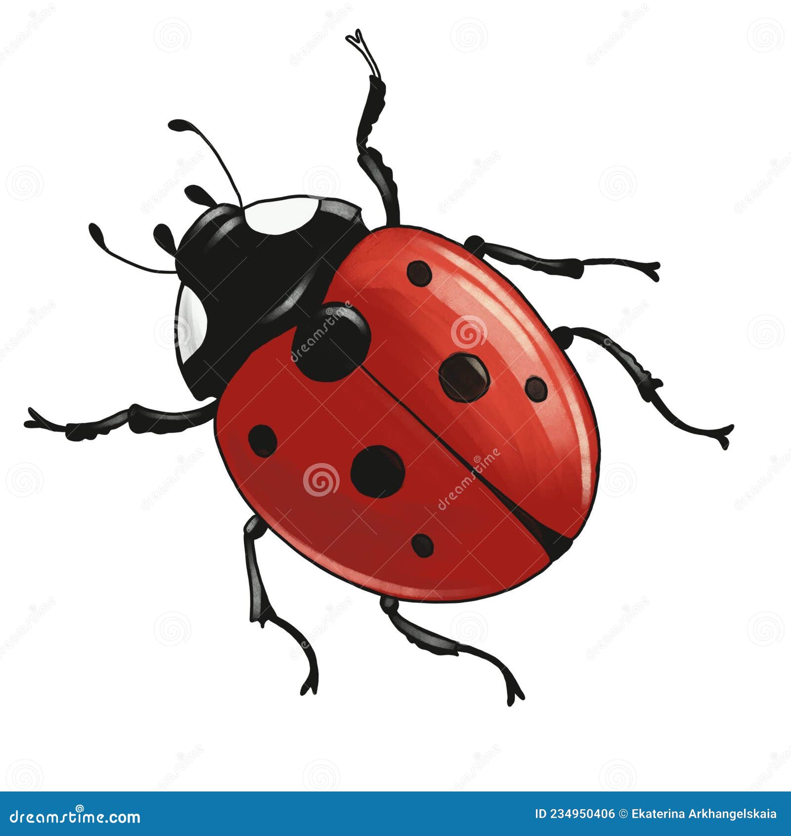Ladybug Drawing On Black Background Royalty-Free Stock Image ...