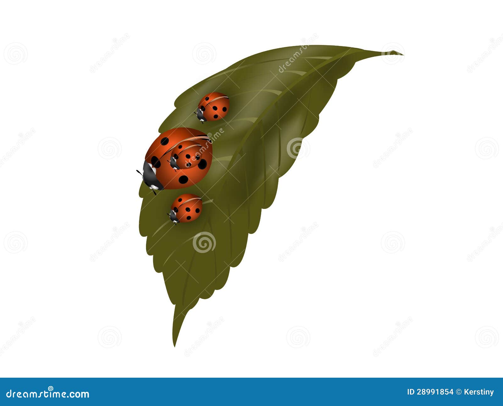 Ladybug family stock illustration. Illustration of leaves - 28991854