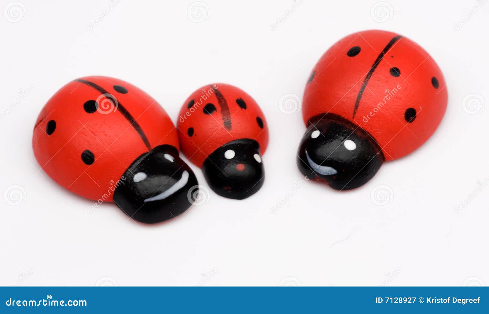 Ladybug family stock image. Image of bright, ladybird - 7128927