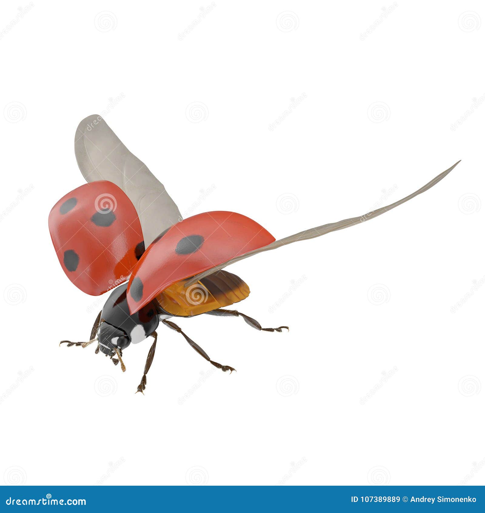 Ladybug Flying On White. 3D Illustration Stock Illustration ...