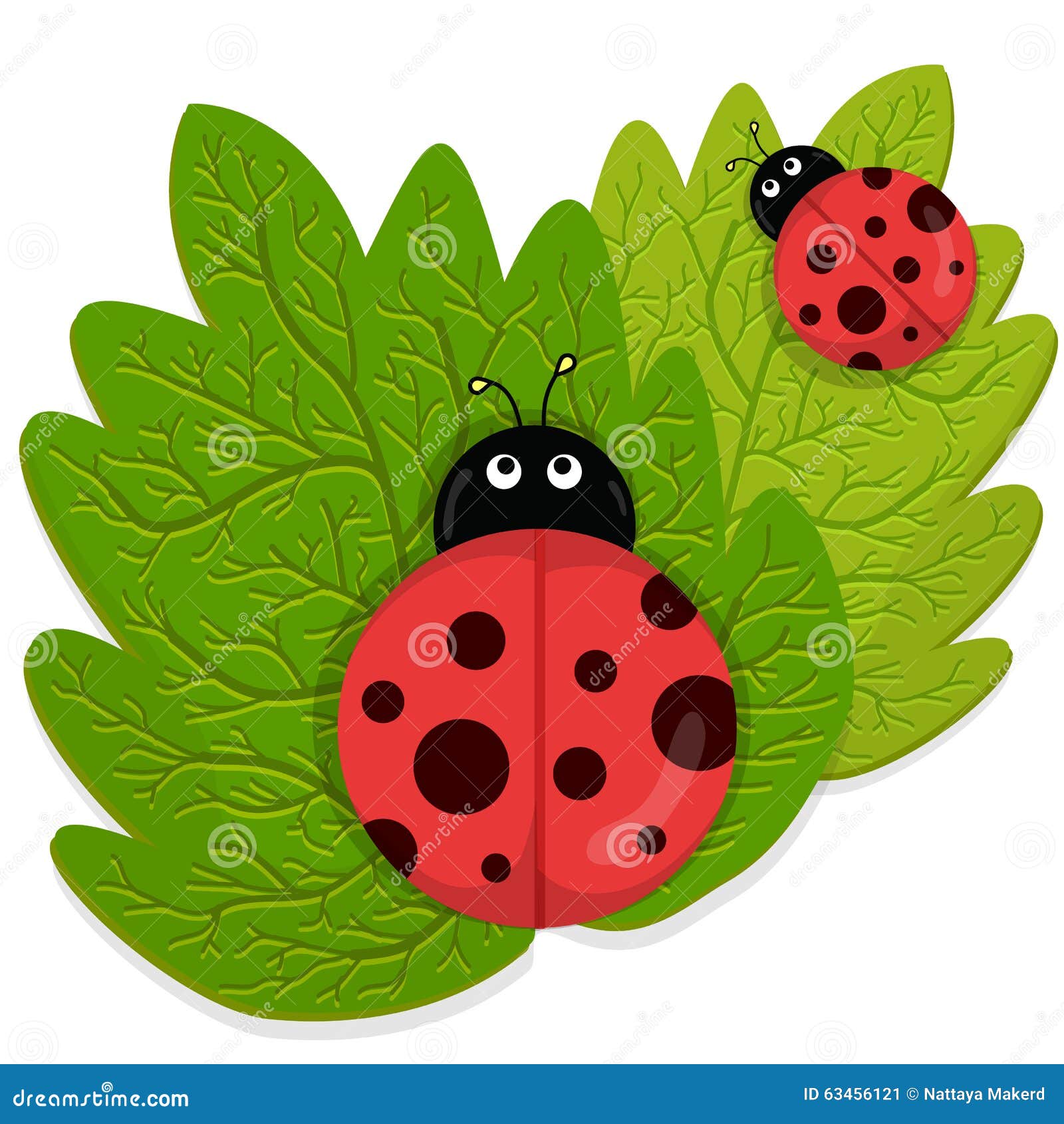 Ladybug On Green Leaf Cartoon Vector | CartoonDealer.com #63456121