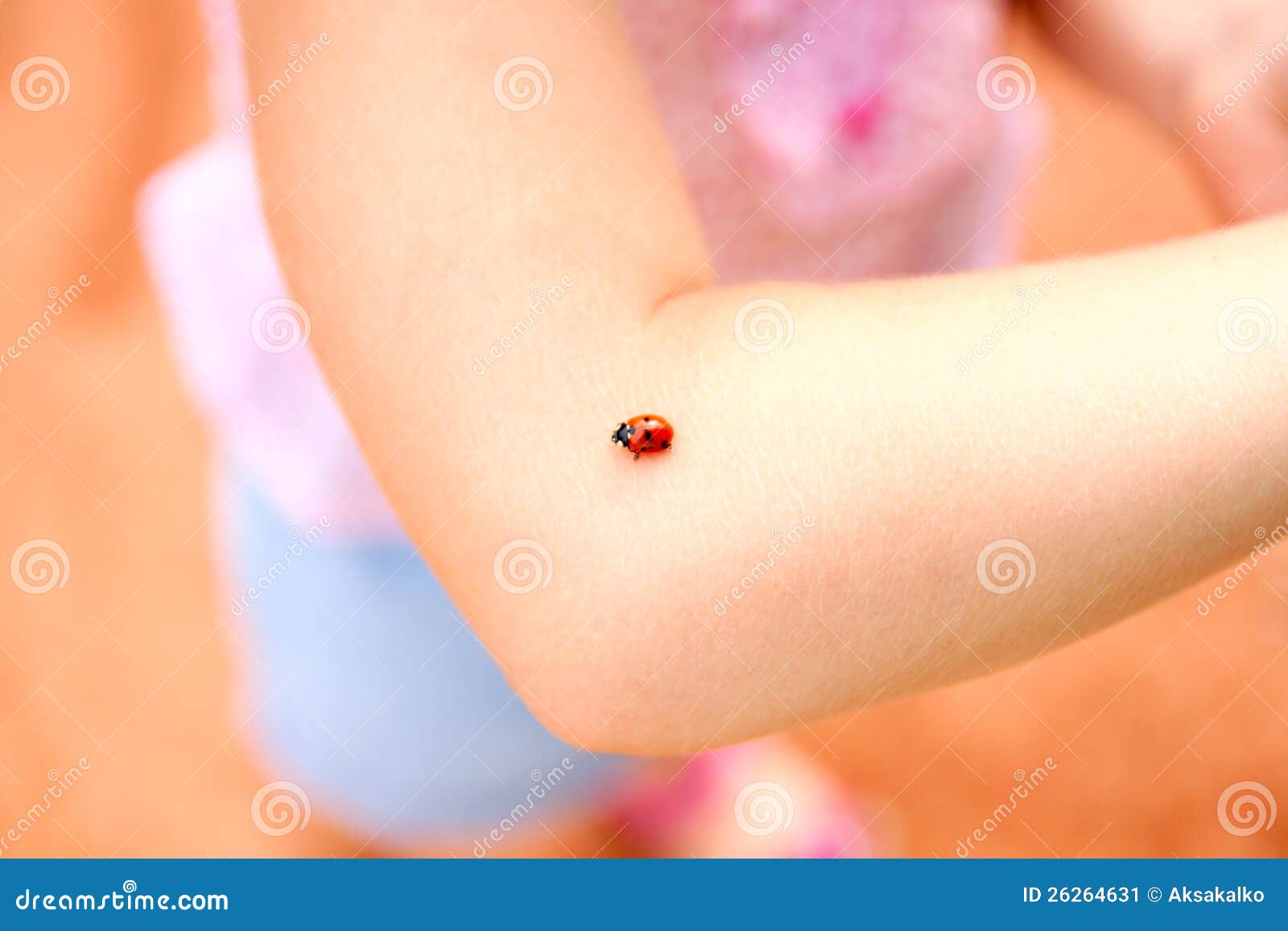 Ladybug on hand stock image. Image of macro, yellow, climbing - 26264631
