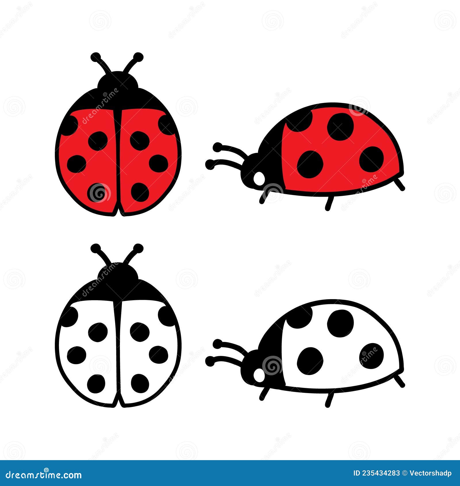 Ladybug Hand Drawn Vector Doodle Illustration. Cartoon Ladybug ...