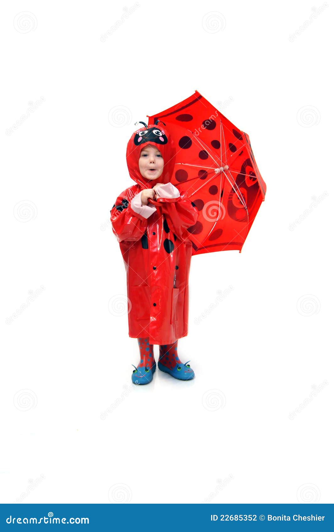 Ladybug head to toe stock photo. Image of weather, white - 22685352