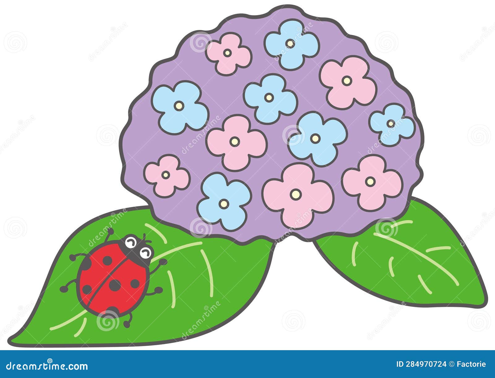 Hydrangea Leaf, Plant - Vector Linear Picture For Coloring. Outline ...