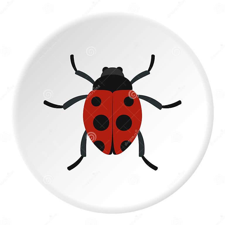 Ladybug icon circle stock vector. Illustration of isolated - 95434111