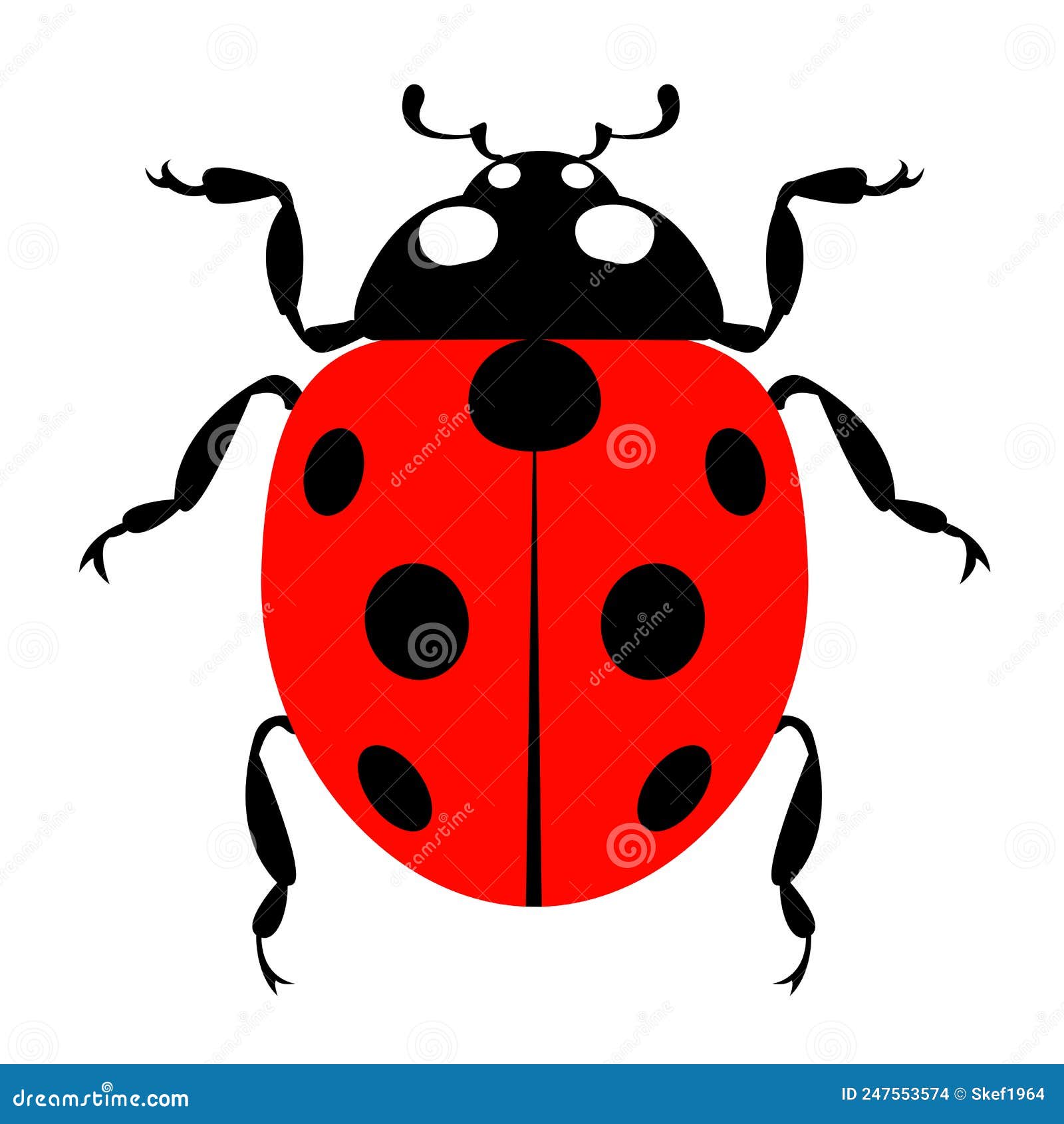 Ladybug Insect Beetle Animal Graphic Image Stock Vector - Illustration ...