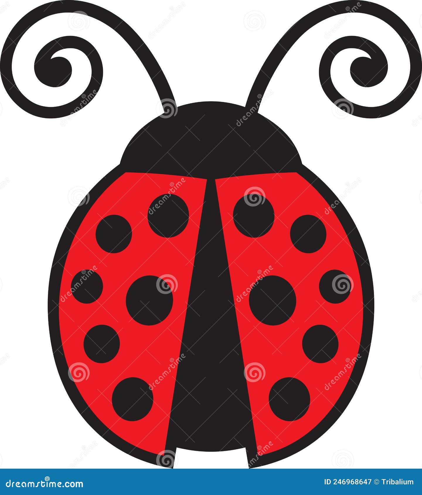 Ladybug Insect Color Vector Stock Illustration - Illustration of beetle ...