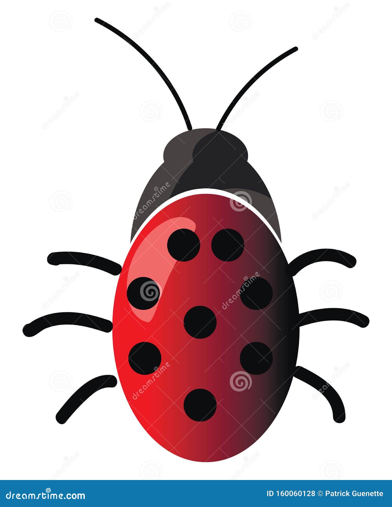 A Beautiful Insect with Red and Black Polka Dot Design in Back Vector ...