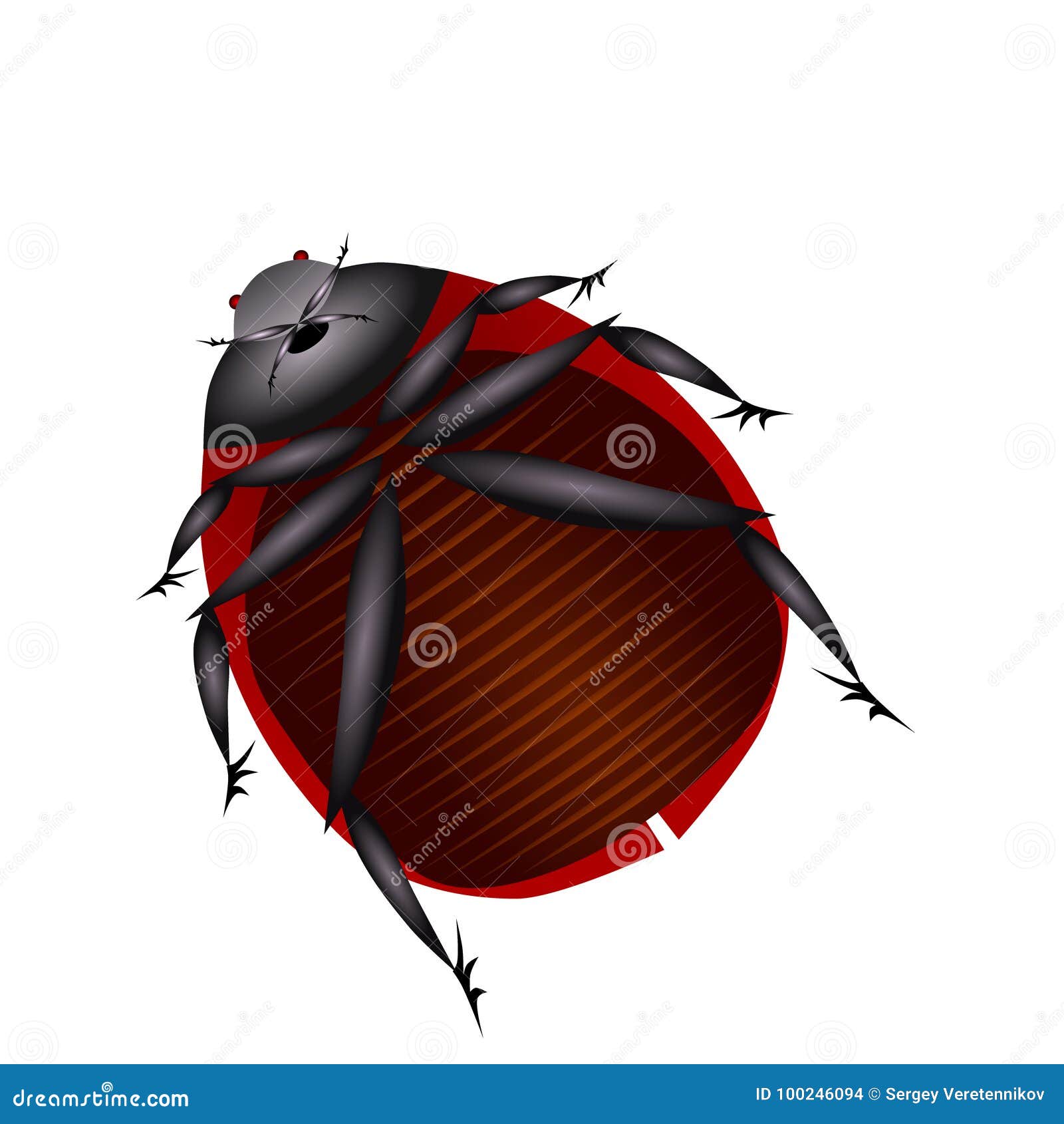 Ladybug Inverted Stock Illustrations – 2 Ladybug Inverted Stock ...