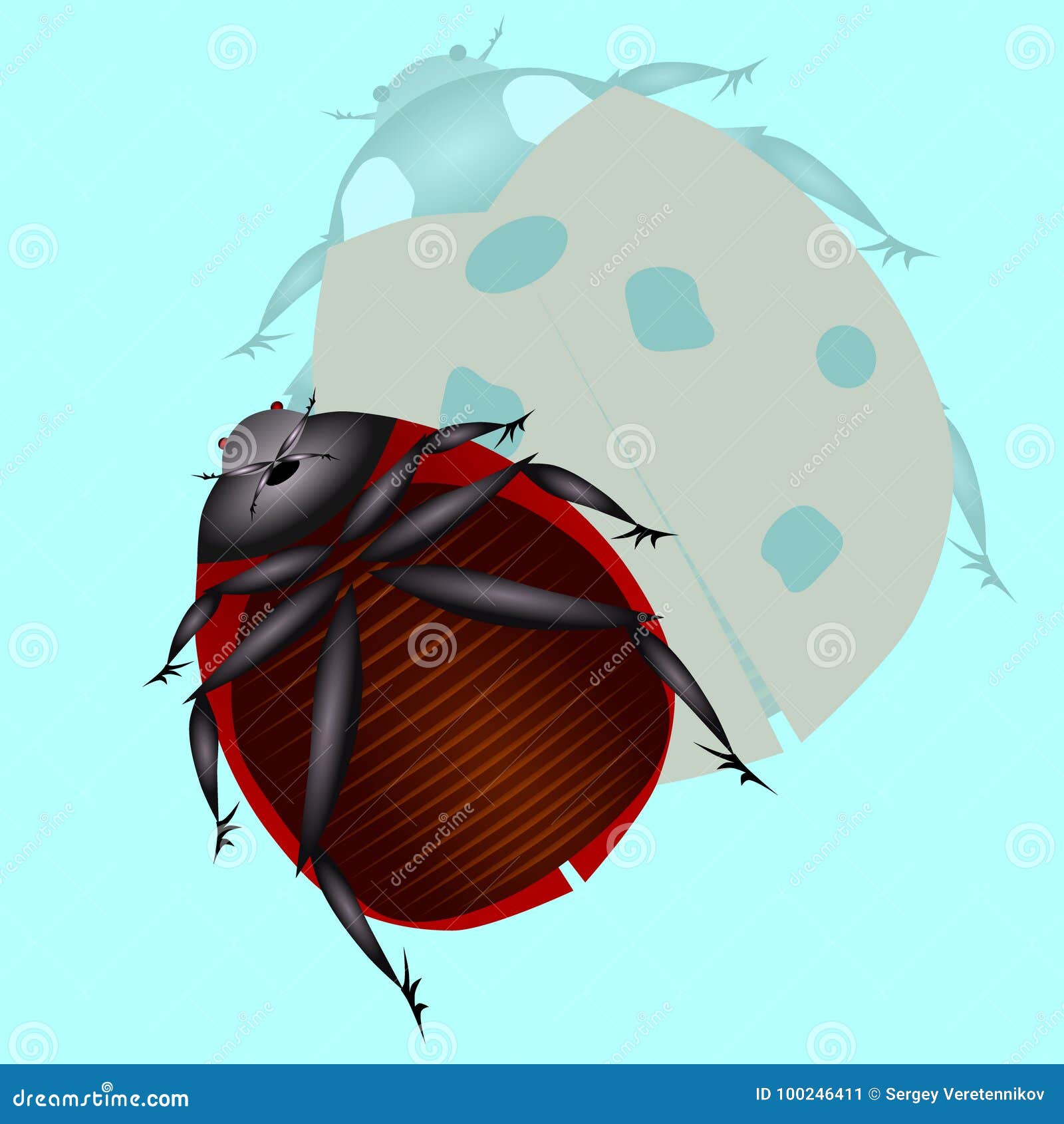 Ladybug Inverted and Reflection Stock Vector - Illustration of ...