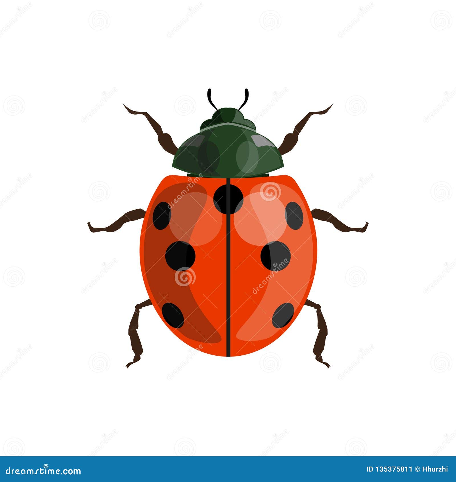Ladybug Or Ladybird Cute Vector Graphic Drawing | CartoonDealer.com ...