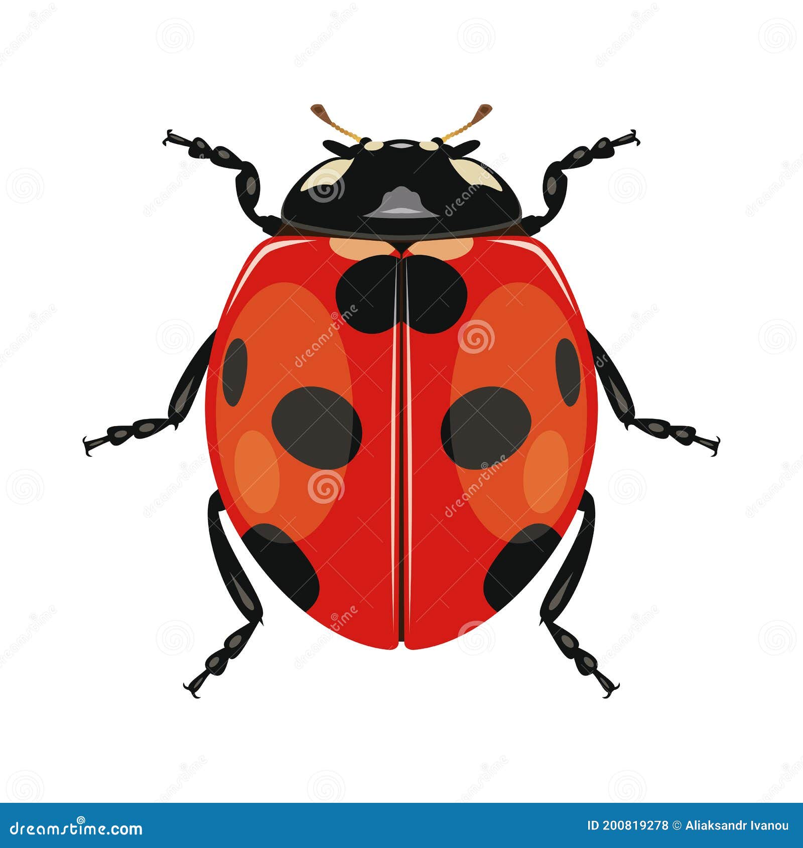 Ladybird On White Background. Cute Cartoon Ladybug Icon Vector ...
