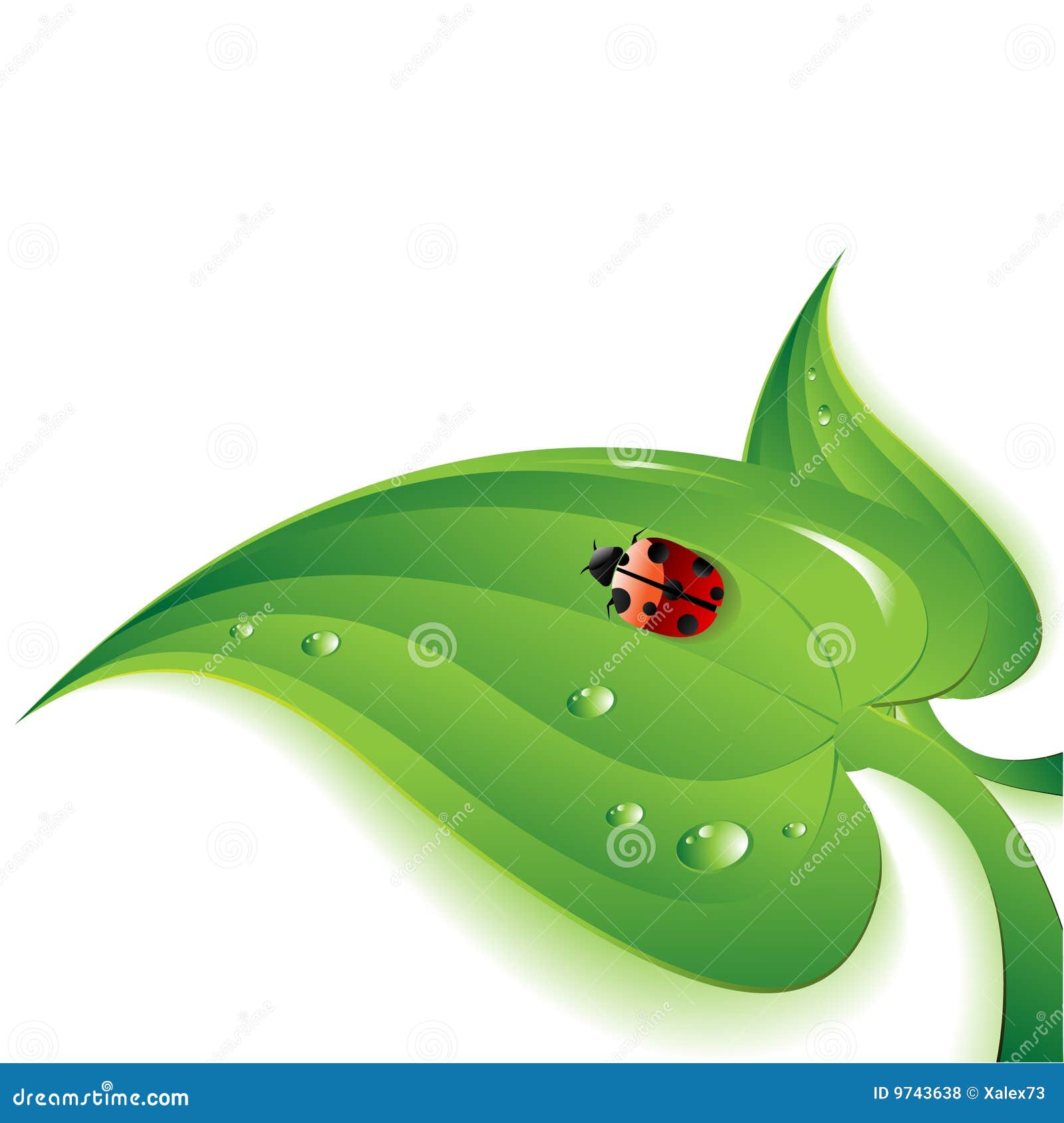 Ladybug on Leaf stock vector. Illustration of plant, contemporary - 9743638