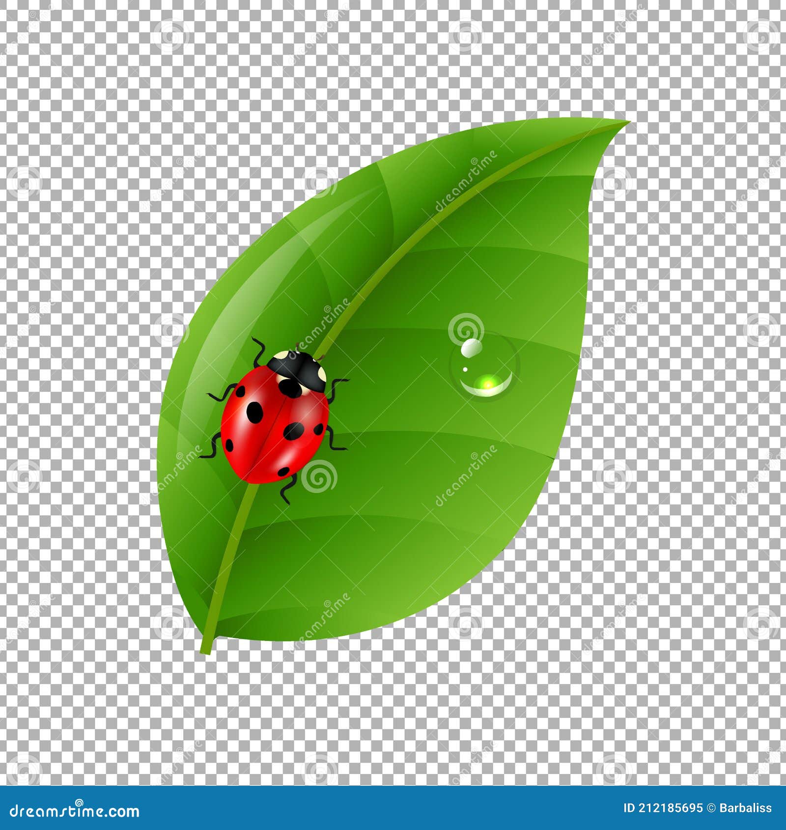 Ladybug With Leaf Isolated In Trasparent Background Cartoon Vector ...