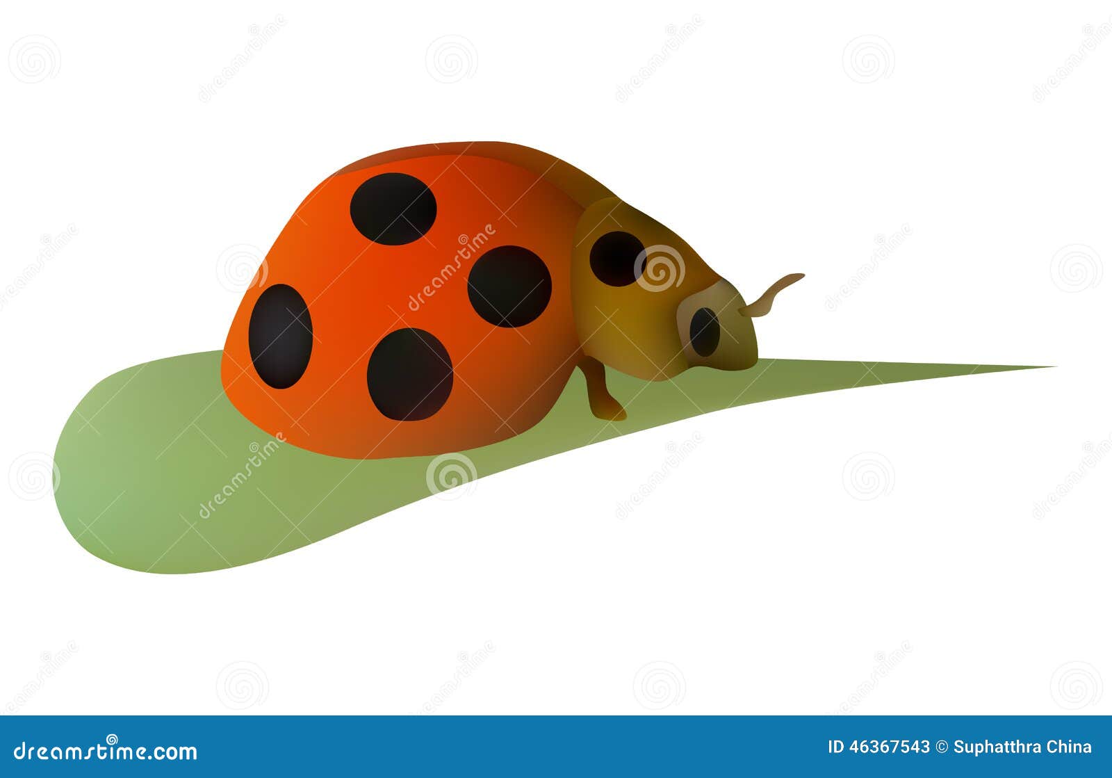 Ladybug on Leaf stock vector. Illustration of drawing - 46367543