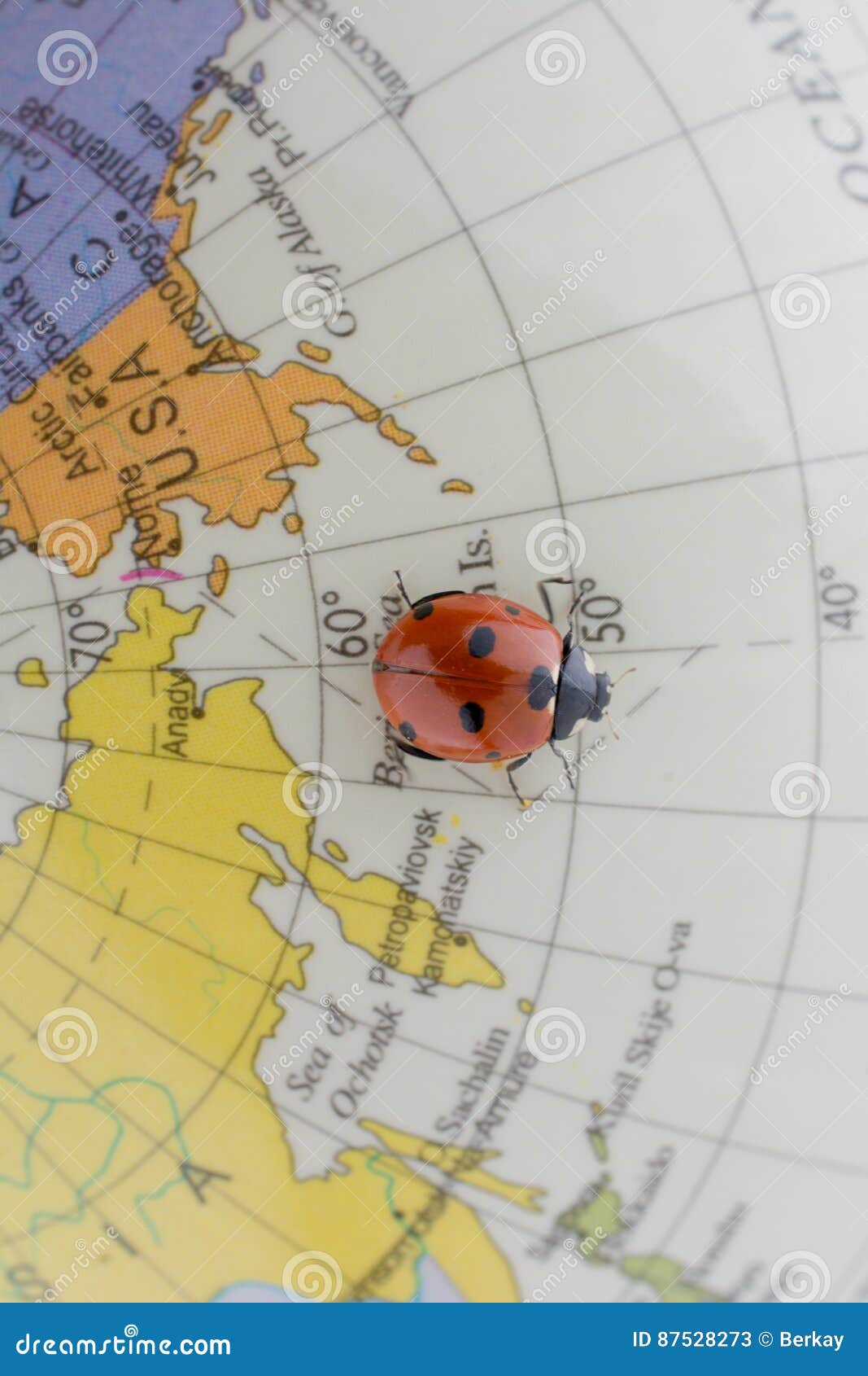Ladybug on a Little Colorful Model Globe Stock Image - Image of ...