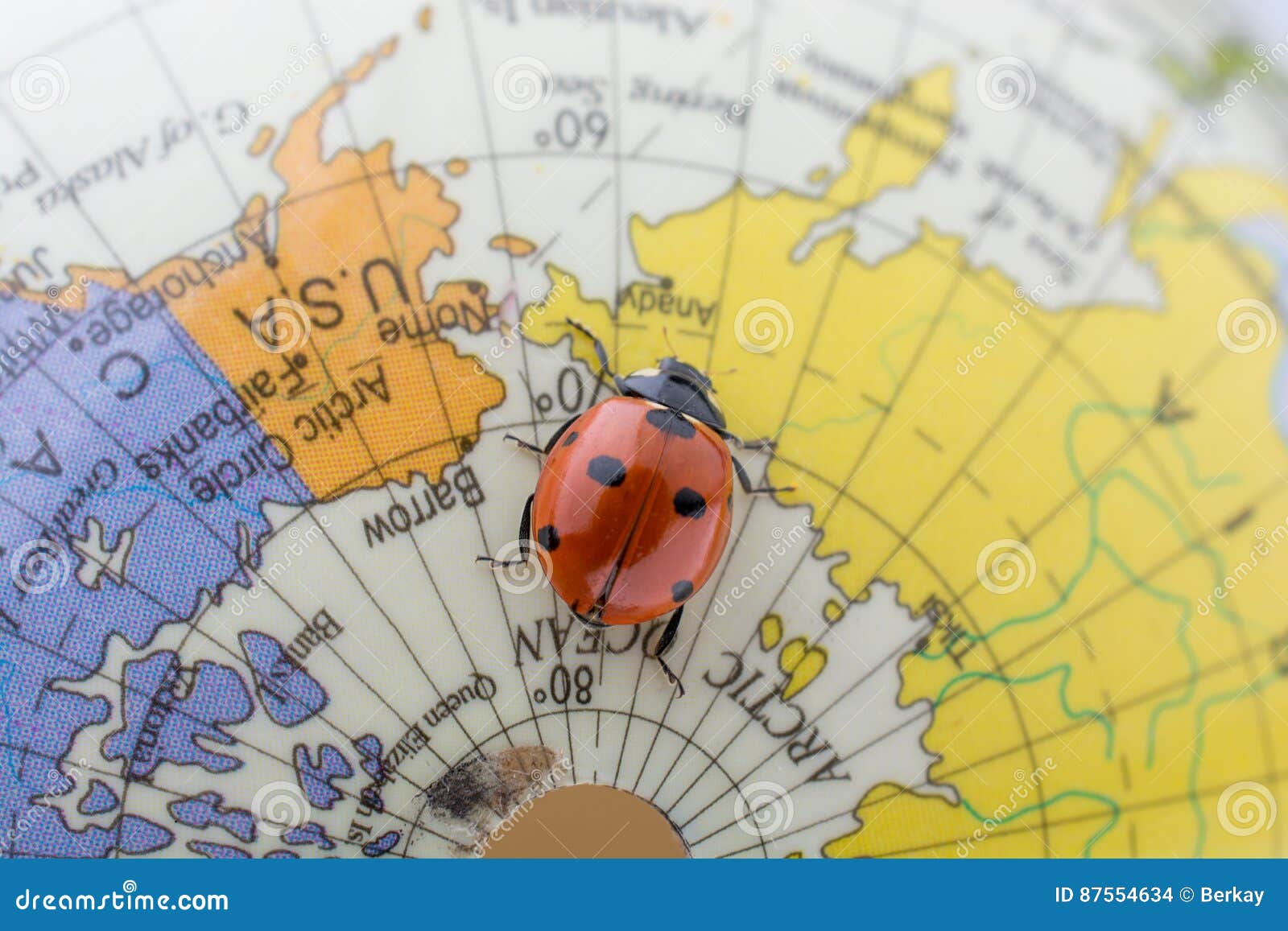Ladybug on a Little Colorful Model Globe Stock Photo - Image of planet ...