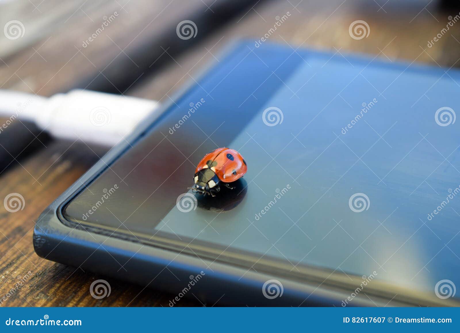 Ladybug on the phone stock image. Image of table, wood - 82617607