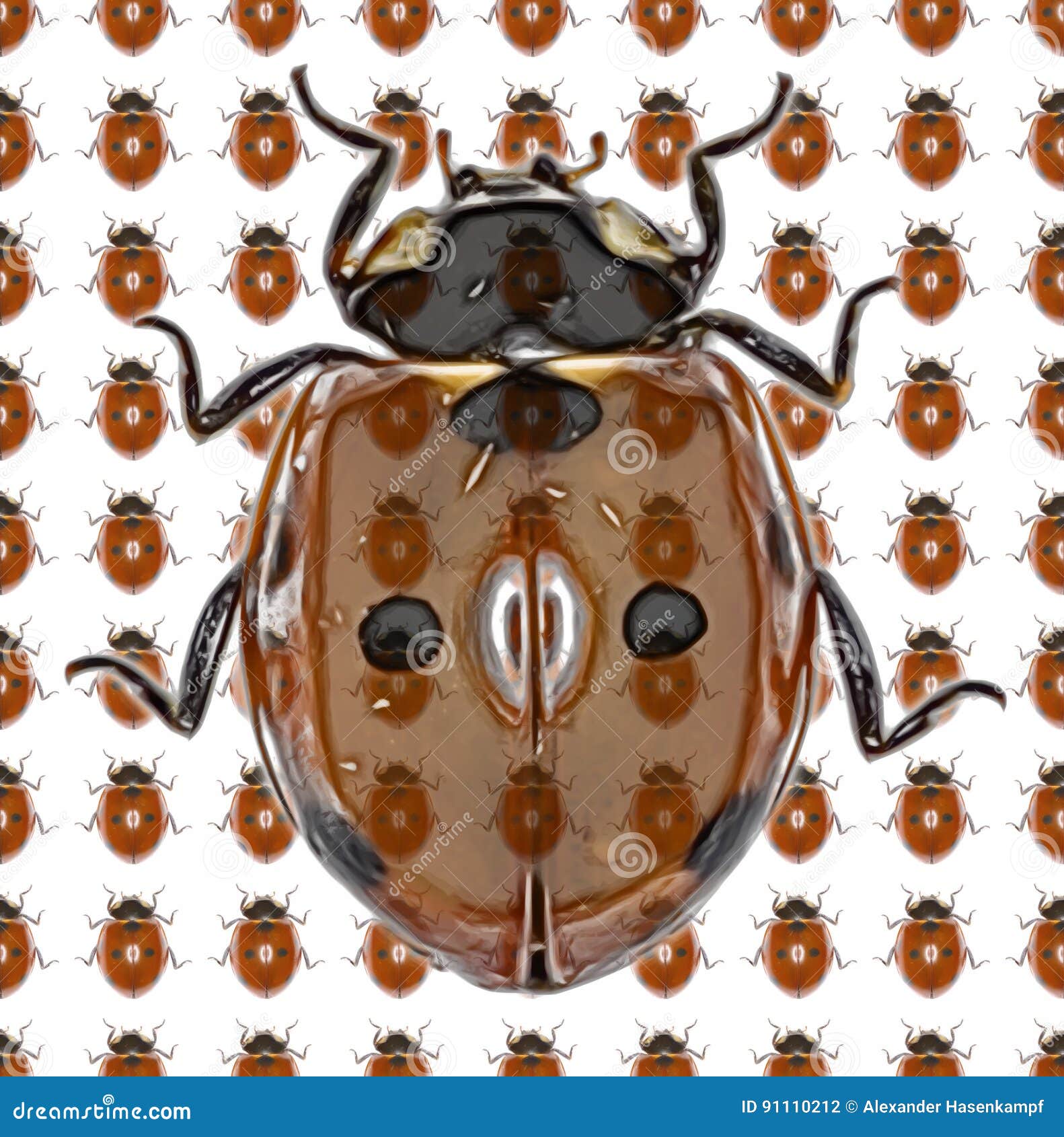 Ladybug Photo Pattern stock photo. Image of lady, animal - 91110212