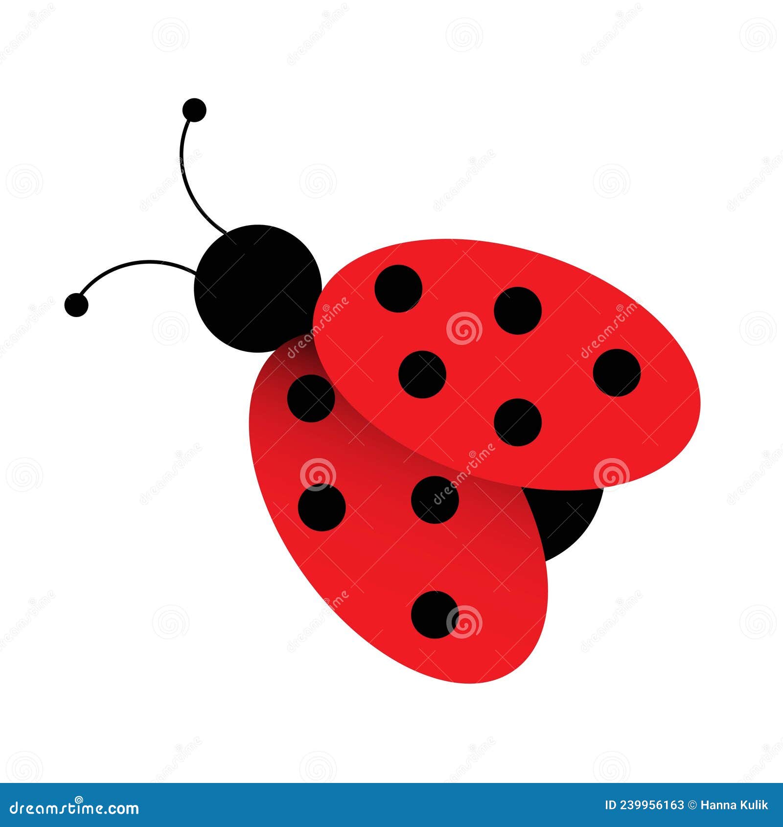 Ladybug, Red Beetle Vector Graphic. Isolated On White Background ...