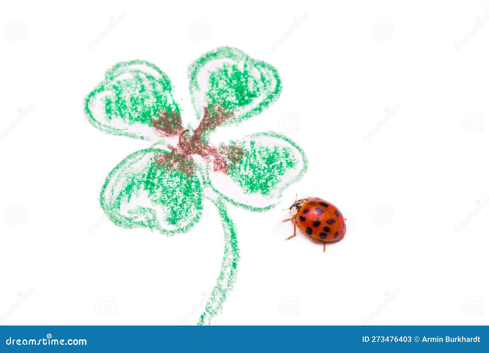 Ladybug Sitting on a White Sheet with a Four-leaf Clover Painted on it ...