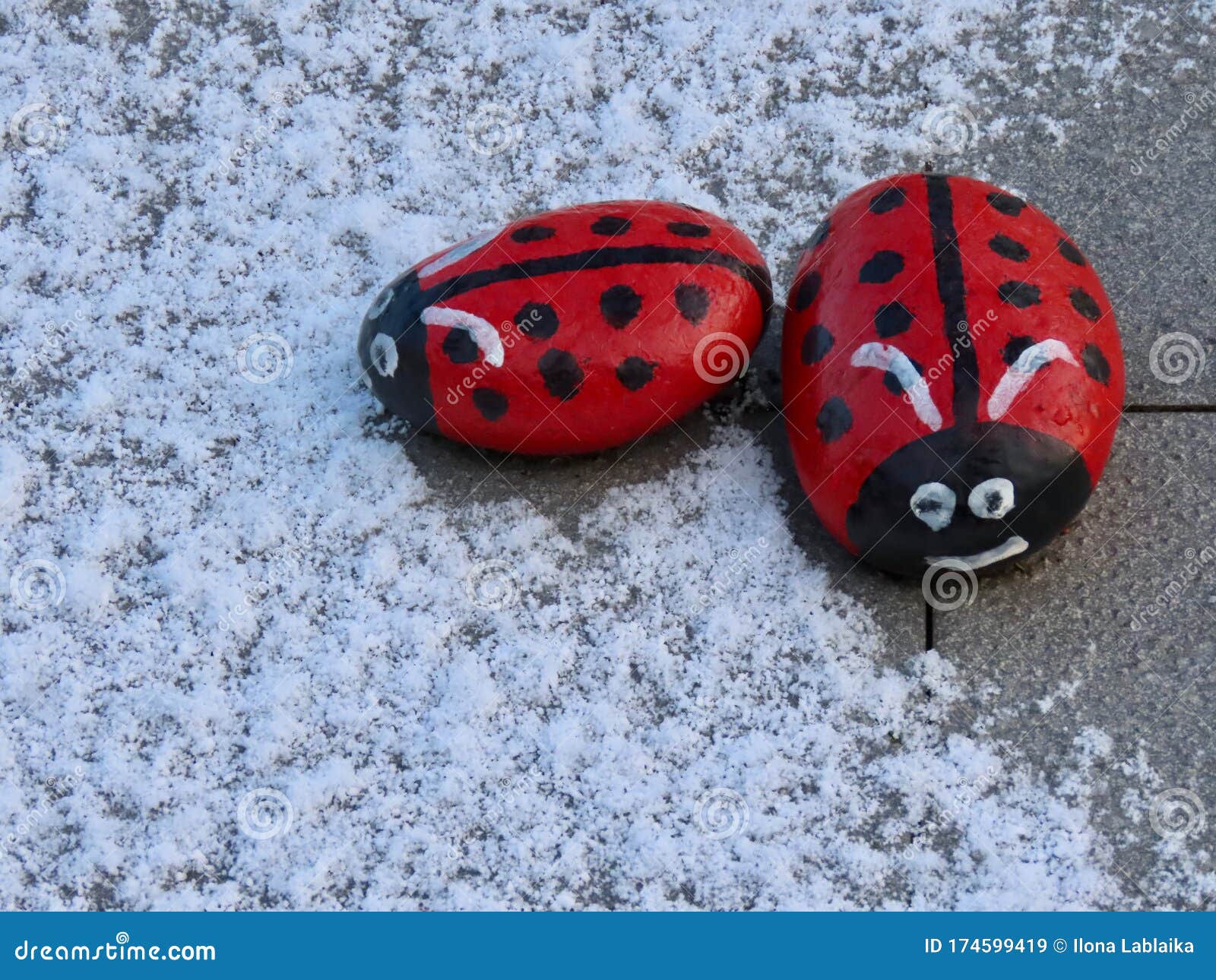 Ladybug stones in snow stock image. Image of fallen - 174599419