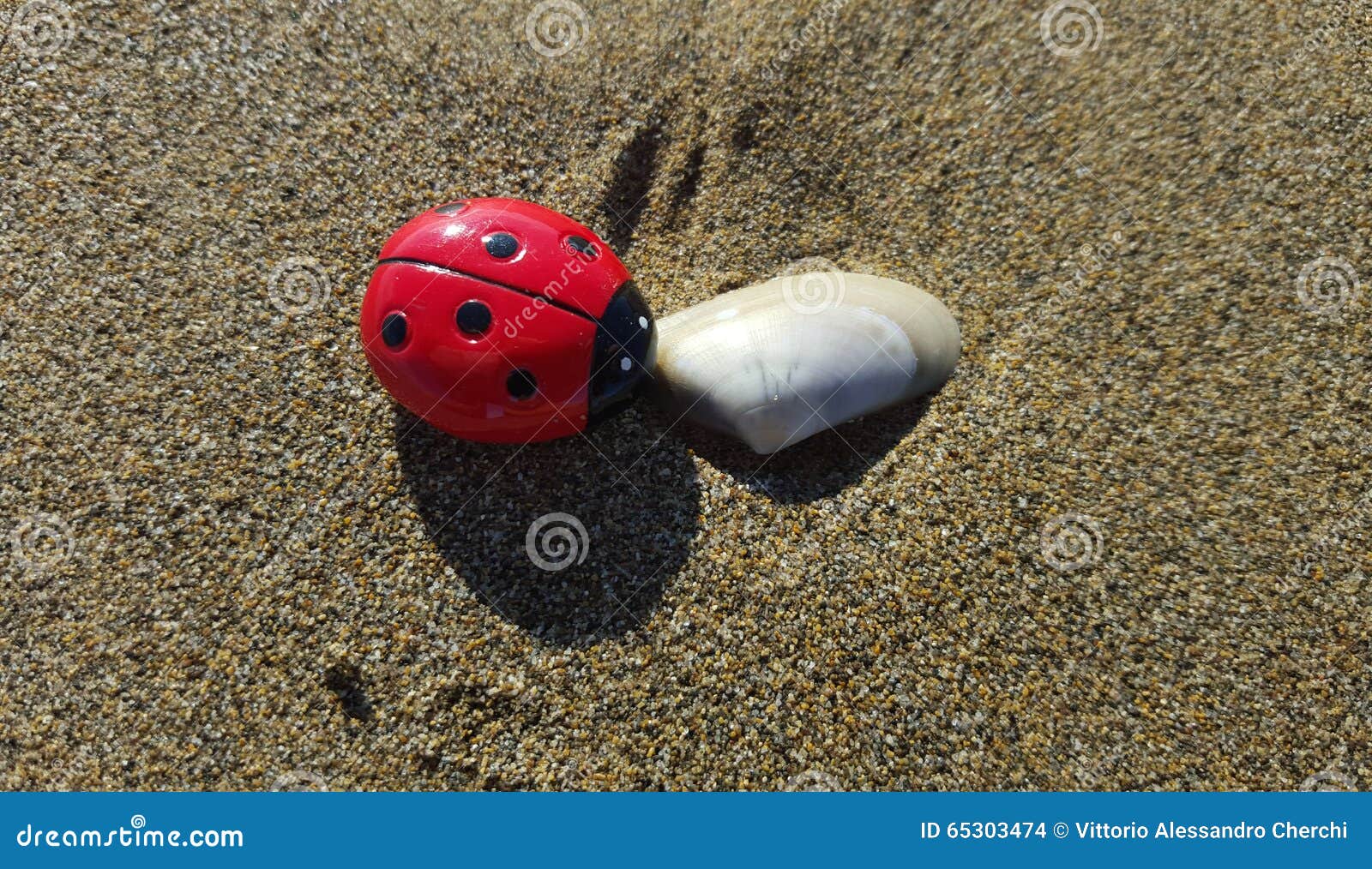 Ladybug Story: Weekend on he Beach Stock Photo - Image of holiday ...