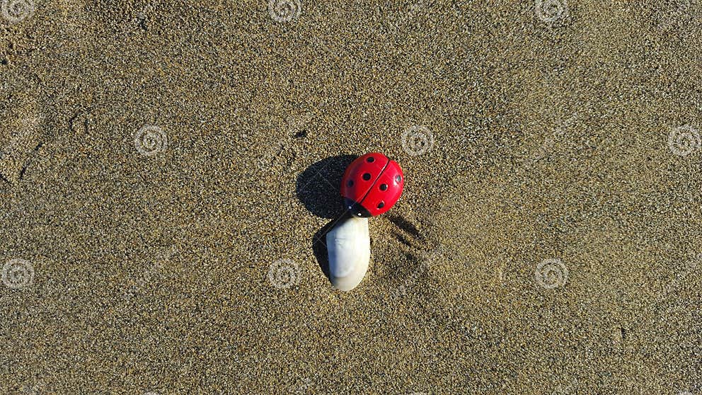 Ladybug Story: Weekend on he Beach Stock Photo - Image of abstract ...