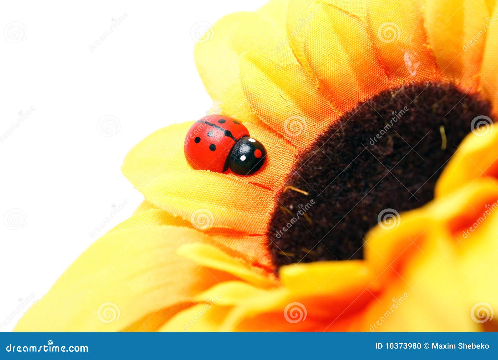 Ladybug on sunflower stock photo. Image of ladybug, summer - 10373980