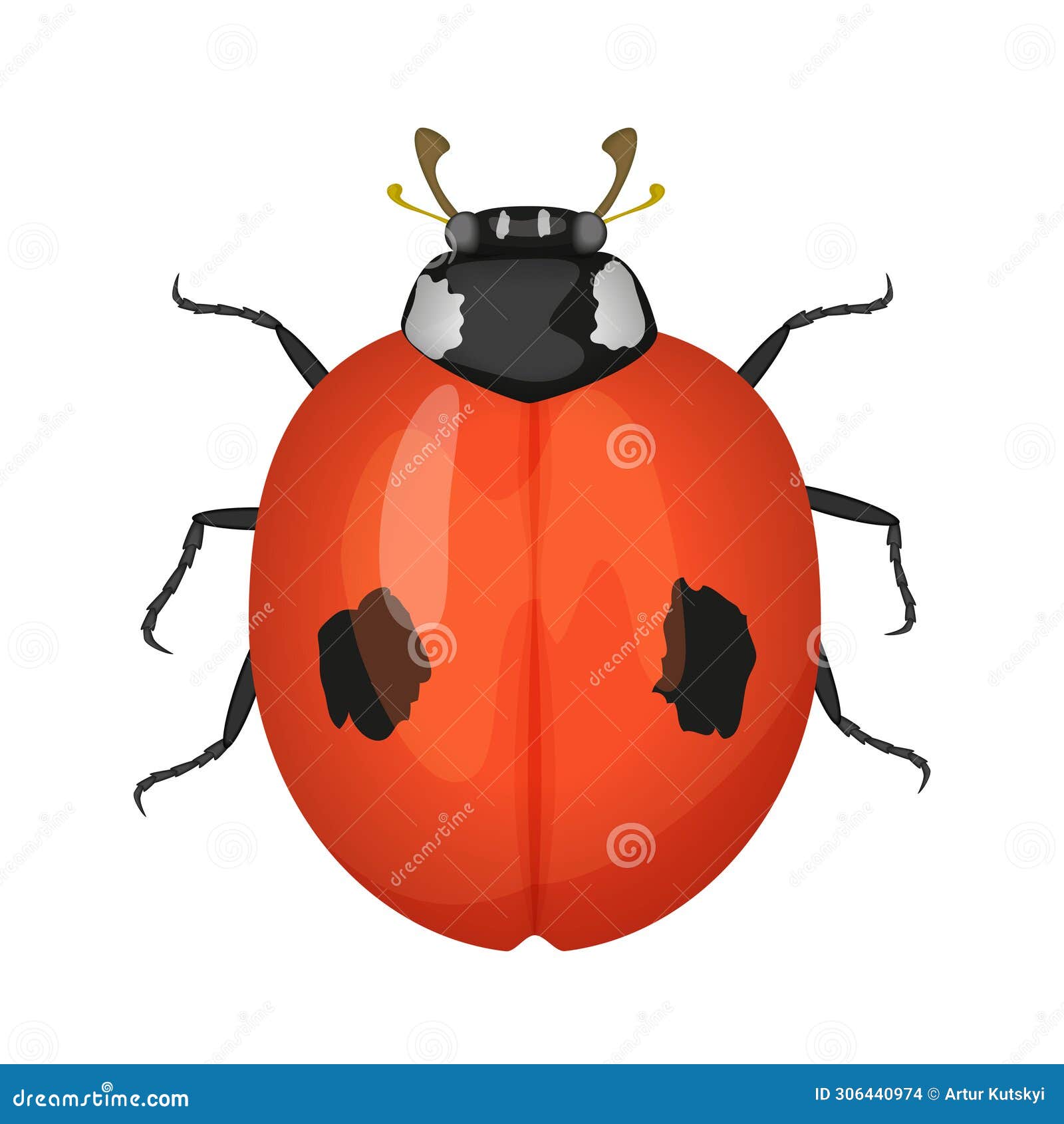 Ladybug Top View Line Art Cartoon Vector | CartoonDealer.com #364358469