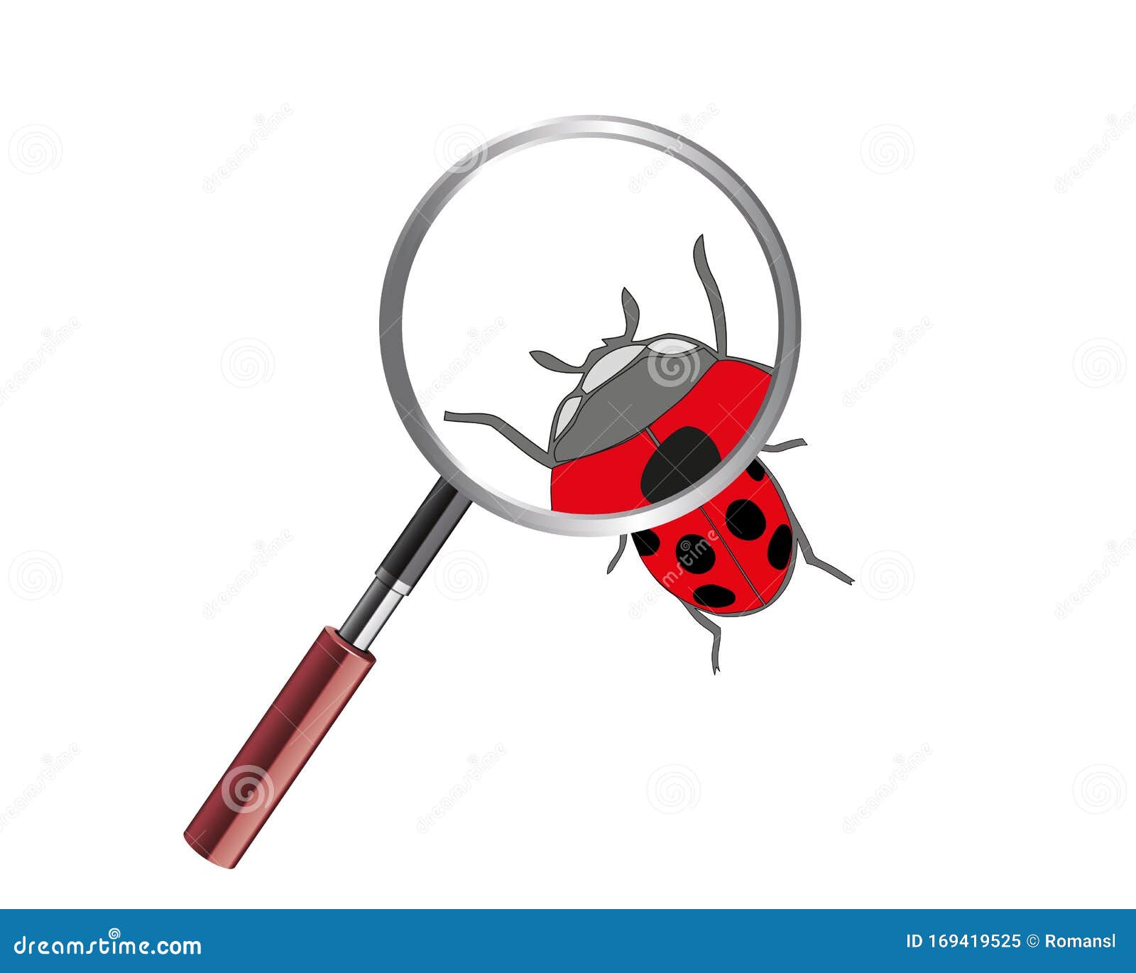 Ladybug Under Microscope. Ladybird On White Background. Cute Cartoon ...