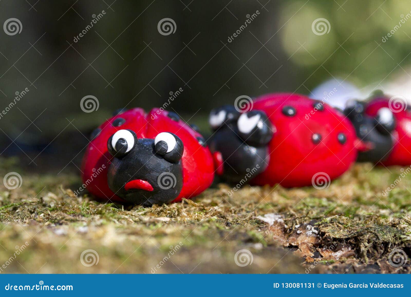 Ladybug walking in a row stock image. Image of closeup - 130081131