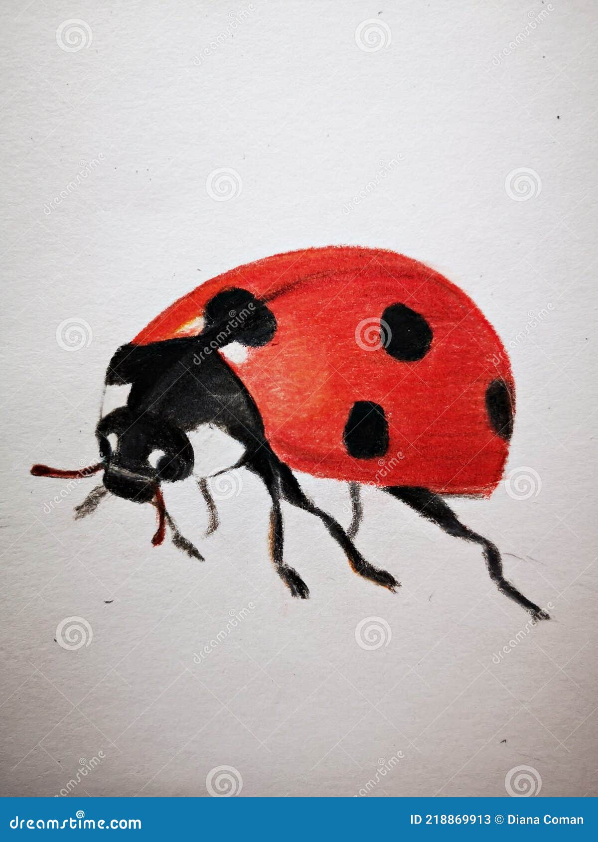 Ladybug on White Background - Artwork Made with Colored Pencils Stock ...