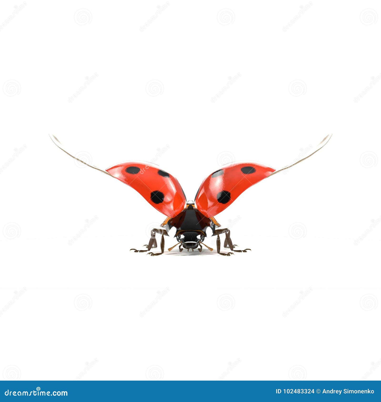 Ladybug on White. Front View. 3D Illustration Stock Illustration ...
